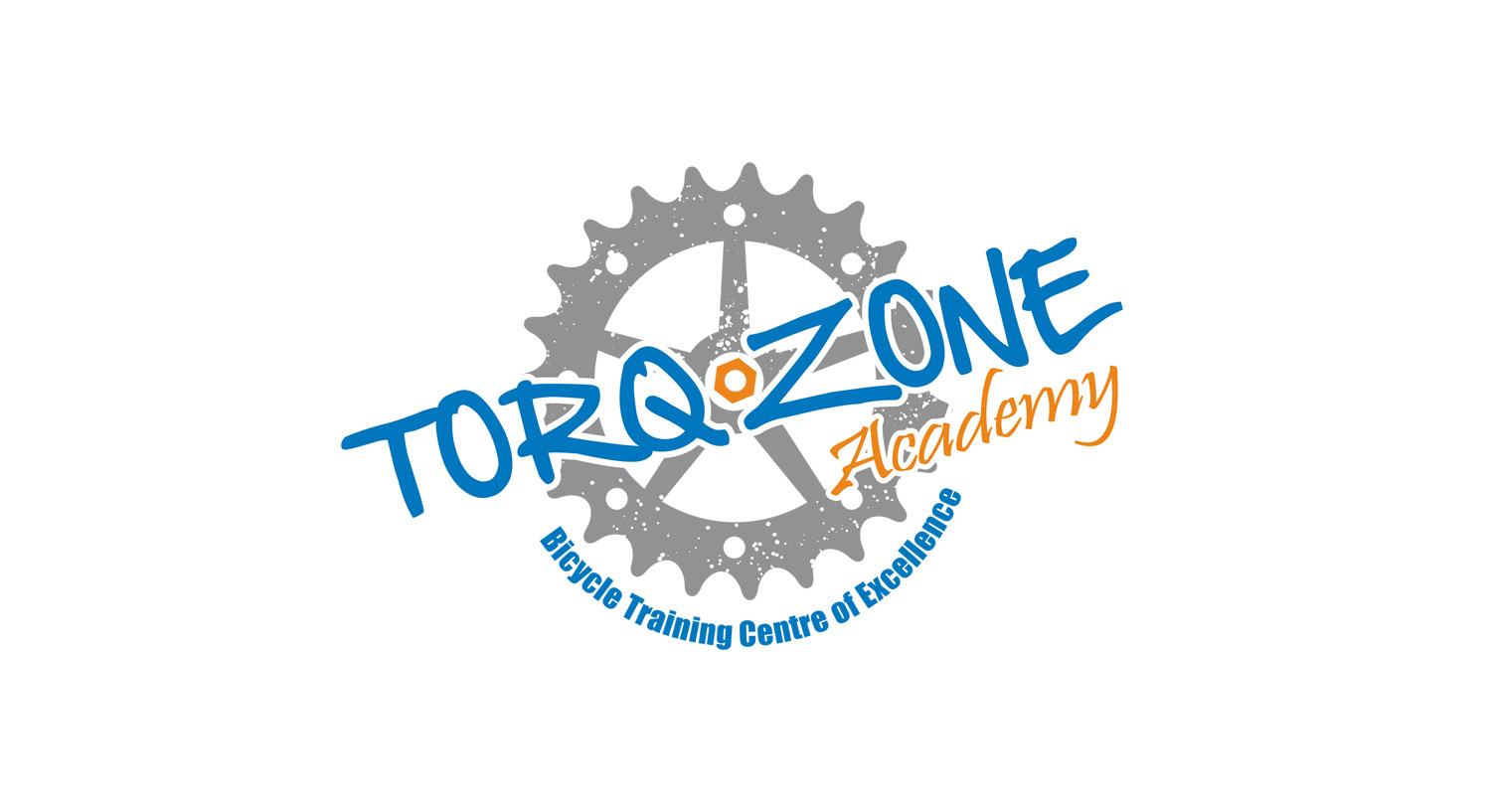 Torq Zone Academy - Accredited Bicycle Mechanic Training